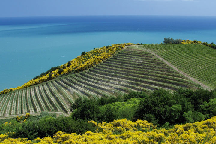 Welcome Page - Spotty WiFi