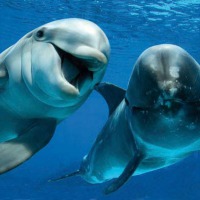 Welcome Page - Spotty WiFi